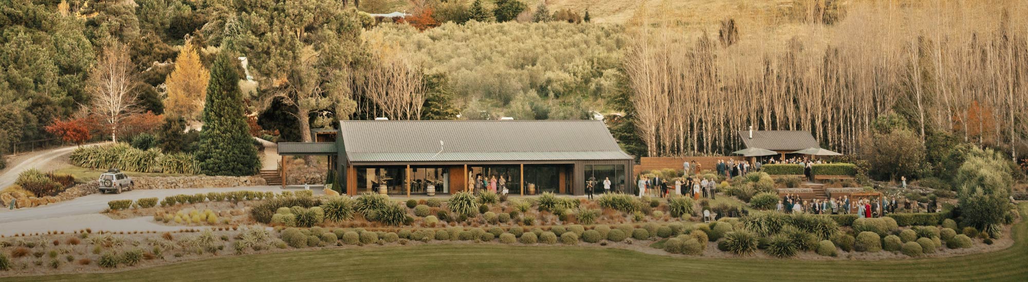 Homepage - Amuri Estate
